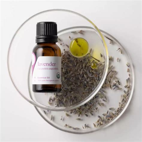 Lavender Spotlight Class