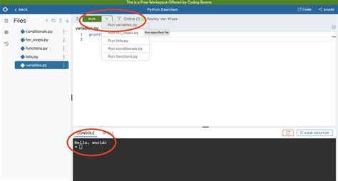 Your First Python Program She Codes Australia