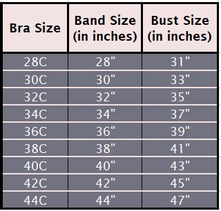 C Cup Size Ultimate Guide What C Cup Boobs Look Like 2023