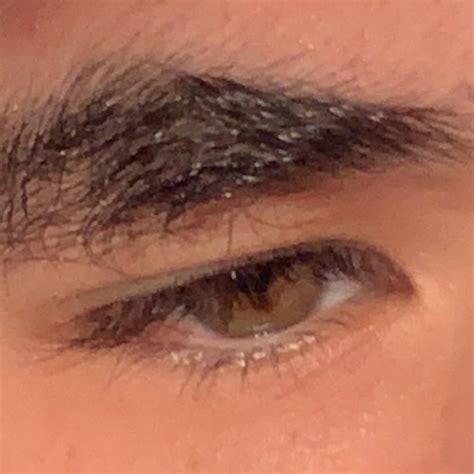 Jsfs Artists Musicboard