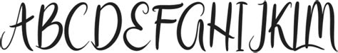 Blink Regular Otf Font Script Decorative What Font Is