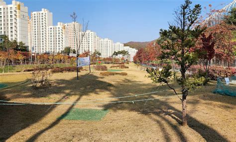 시흥시 조남동 다니파크골프장 미리보기