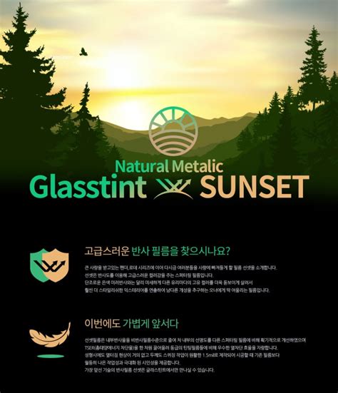 현대 아반떼 Md 글라스틴트 썬셋q 전체 썬팅 시공 네이버 블로그