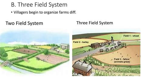 Three Field System Diagram