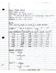 Physics Lab Pdf Course Hero