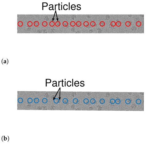 Detecting Non Overlapping Signals With Dynamic Programming