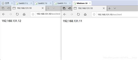web群集搭建——haproxy（理论 搭建实操 配置文件详解及优化方案） haproxy部署配置 csdn博客