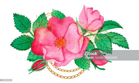 장미 꽃 잎 싹과 황금 나비의 수채화 배열 흰색 배경에 고립 디자인 프로젝트 직물 초대장 인사말 웨딩 디자인 손 도면 결혼식에 대한 스톡 벡터 아트 및 기타 이미지 Istock