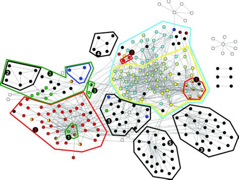 Ribonucleoprotein Complex Protein Interaction Network All The Proteins