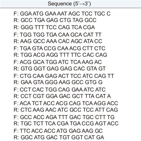 List Of Oligonucleotide Sequence And Their Characteristics Download