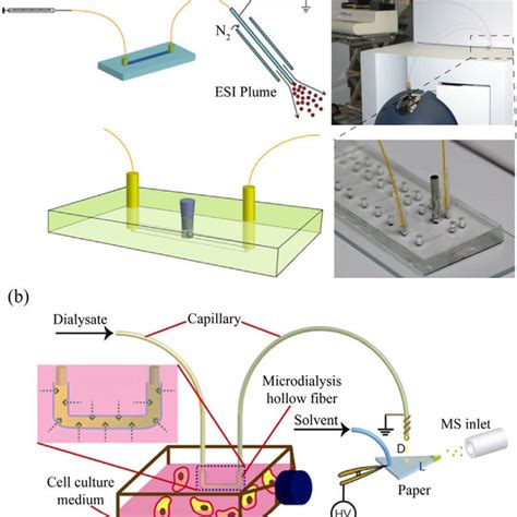 PDF Multi Channel Microfluidic Chip Mass Spectrometry Platform For Cell Analysis