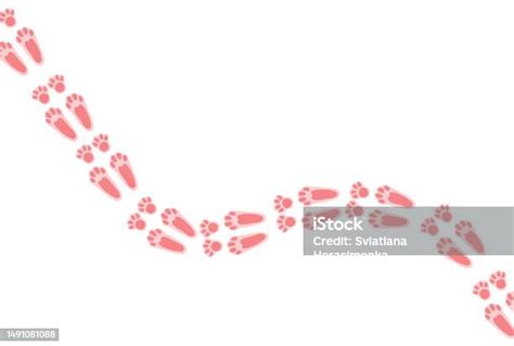 토끼 발자국 흔적 흰색 배경에 고립된 그림입니다 벡터 그림 토끼류에 대한 스톡 벡터 아트 및 기타 이미지 토끼류 누른 자국 발톱 달린 발 Istock