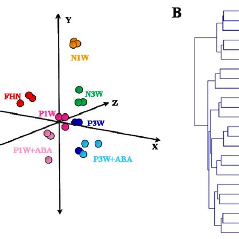 A Principal Component Pca And B Hierarchical Cluster Analysis