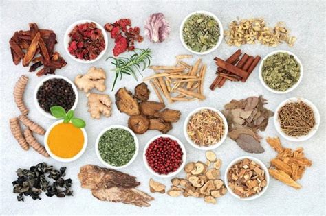 Exploring The Traditional Promises Of Hamdard Sex Medicines MedDrop