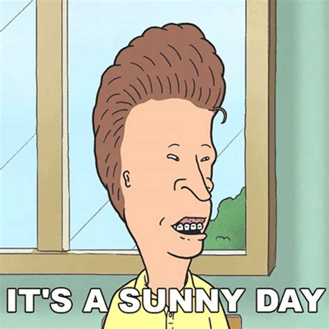 Sunny Saturday Sunshine 