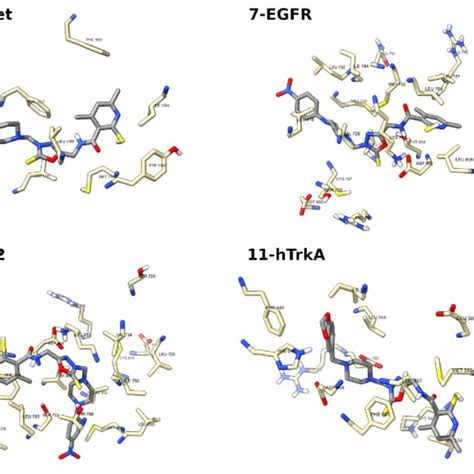 Binding Modes Of The Ligand Receptor Complexes Only The Best