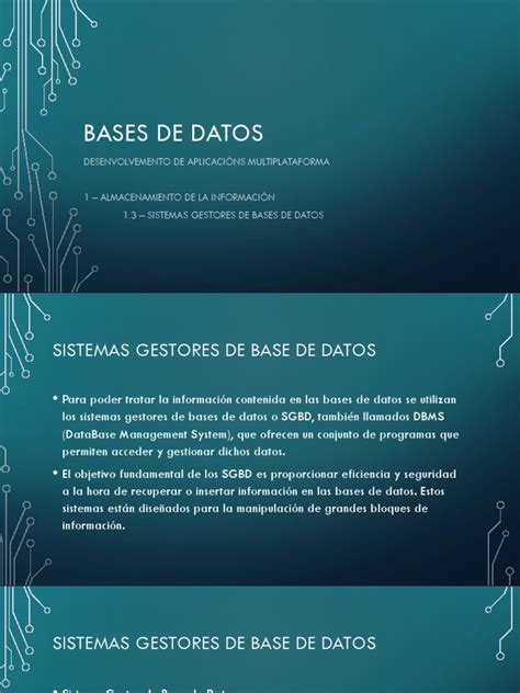 1 3 Sistemas Gestores De Bases De Datos Pdf Bases De Datos Mi Sql