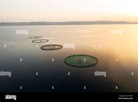 Sunset View Of Circular Fish Farming Structures On The Tranquil Water
