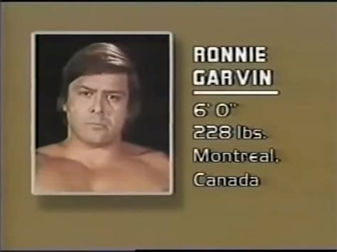 🎙 The Wrestling Memory Grenade 🎙 On Twitter These Bio Slides Feels