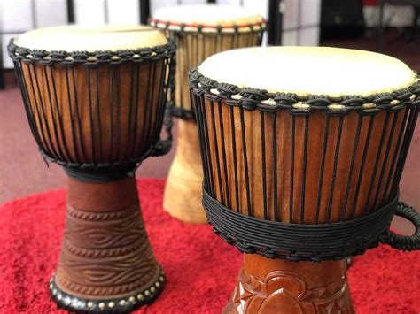 Djembe E Darbuka At Peggy Bergmann Blog