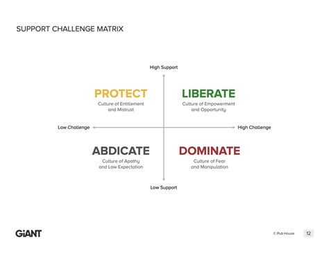 The Supportchallenge Matrix Mirevisionpal