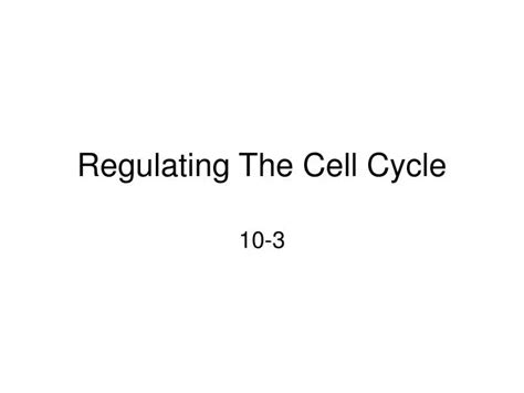 Ppt Regulating The Cell Cycle Powerpoint Presentation Free Download