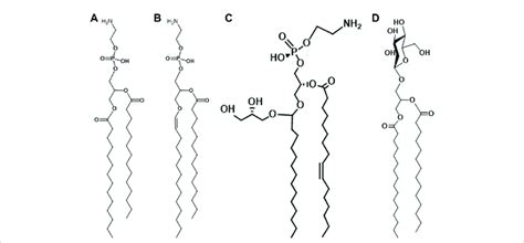 A Phosphatidylethanolamine B Plasmenylethanolamine C Download Scientific Diagram