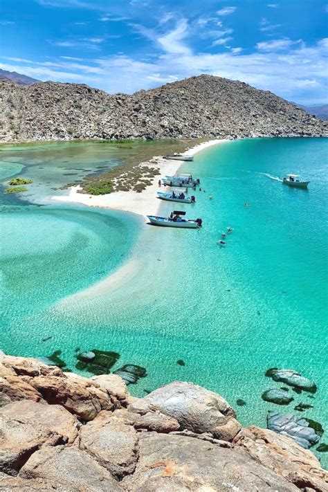 Bahia De Los Angeles Whale Shark Adventure 52 Perfect Days