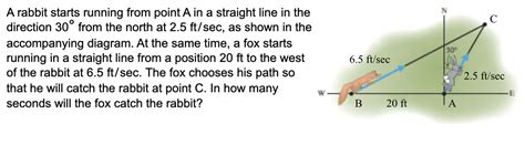 Solved A Rabbit Starts Running From Point A In A Straight Chegg