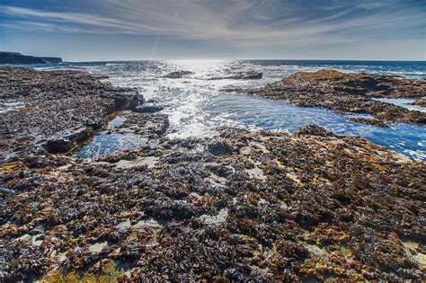 바다 해안 물 Pixabay의 무료 사진