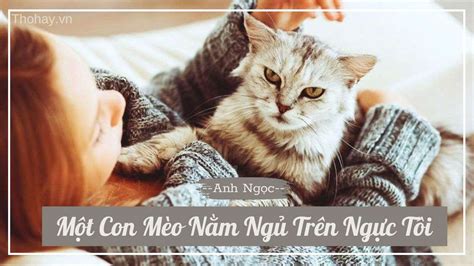 B I Th R I Ng Y Mai Con I N I Dung Ngh Thu T Ph N T Ch