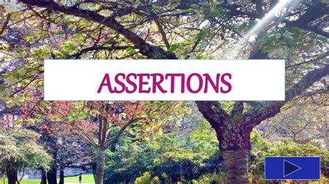 Assertion Finalpptx