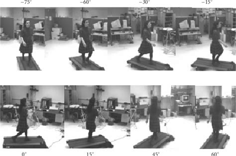 figure 9 from gait recognition using image self similarity semantic