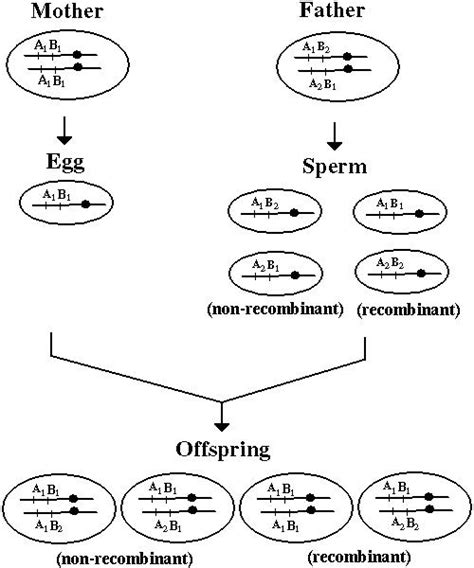 Biology 301