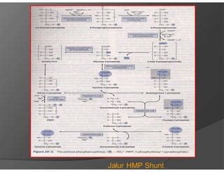 PowerPoint Presentation Pdf