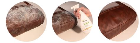 Learn How To Remove Mould From Fabric Prevent It Occurring