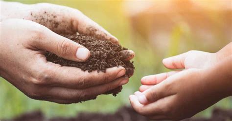 Практична робота 8 «Порівняльний аналіз різних типів ґрунтів України Тест на 15 запитань