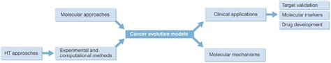 Modelling Cancer Evolution Using The Available Technologies The