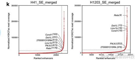 Chip Seq应用领域、研究思路、数据挖掘、下游实验、实验关键 易讲堂 深圳市易基因科技 博客园