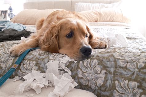 Lazy Wednesday Rfujifilm