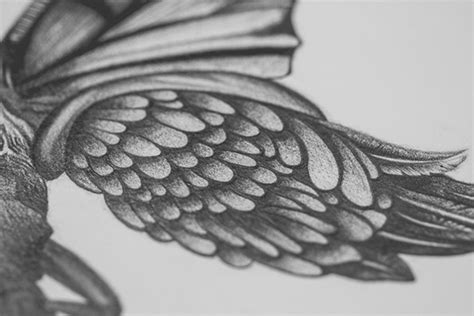 Indlovu Images Photos Videos Logos Illustrations And Branding On Behance