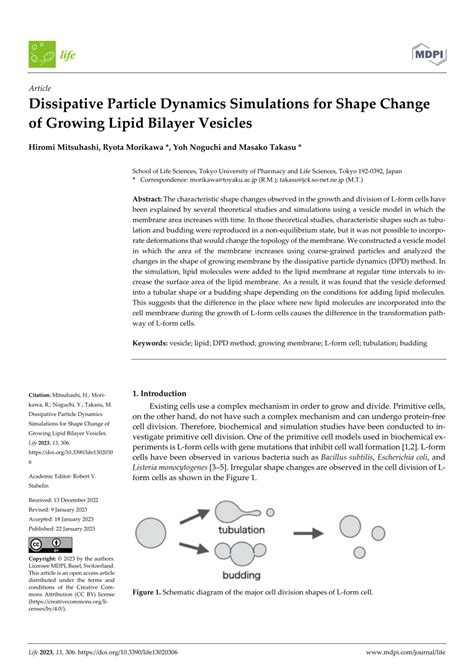 PDF Dissipative Particle Dynamics Simulations For Shape Change Of Growing Lipid Bilayer Vesicles