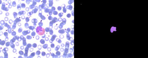 Segmentando Objetos Pela Cor Opencv Python By Otávio Souza Medium