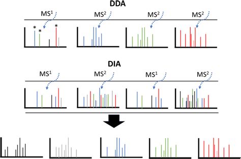 General Differences Between Datadependent Acquisitions DDA And Download Scientific Diagram