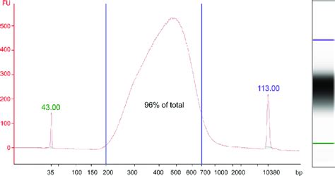 Bioanalyzer Electropherogram Left And Gel Right After Library Size