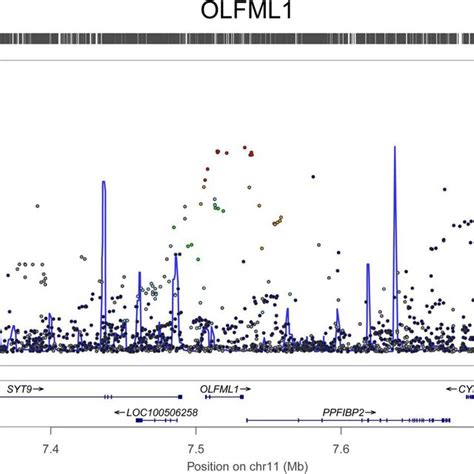 Regional Association Signals Of Tgfb2 Snps With Aad The Regional Download Scientific Diagram