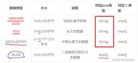【mysql】数据库基础操作一：建库与建表数据库建表 Csdn博客