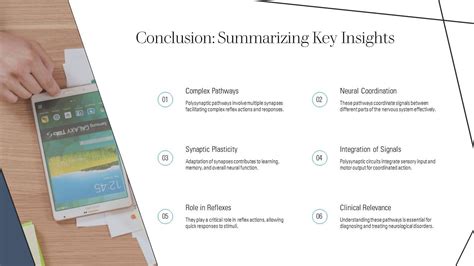 Conclusion Summarizing Key Insights Polysynaptic Ppt Outline St Ai Ss Ppt Powerpoint