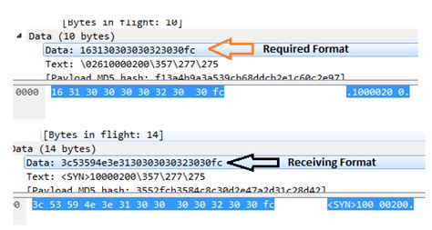 Send Hex Decimal Over Tcp Ip Stack Overflow