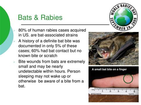 Ppt Learning To Make Rabies History Powerpoint Presentation Free
